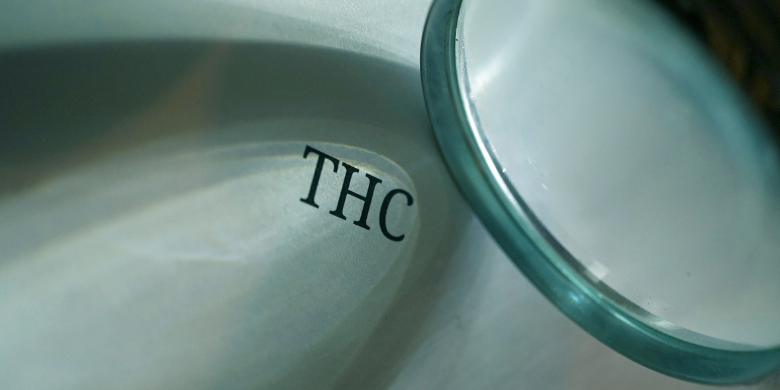 Quais são as diferenças entre THC e CBD? - Santa Cannabis